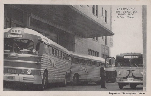 Greyhound Bus Depot El Paso TX Vintage Buses Scene 1950s - RPPC Photo Postcard | eBay