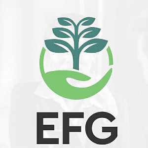 Classic Collections by EFG | eBay Stores