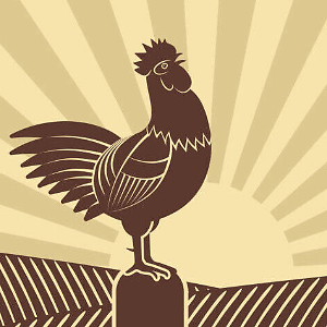 Early Bird Cards | eBay Stores