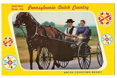 Amish COURTING BUGGY Horse Hex Signs Pennsylvania Dutch Country ...