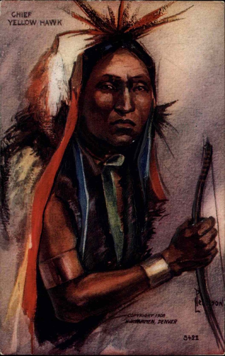 Chief Yellow Hawk