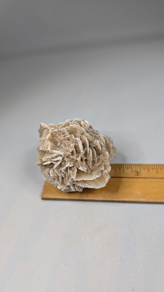 Estate Sale From Famous Race Car Driver And Rockhound, Desert Rose | eBay