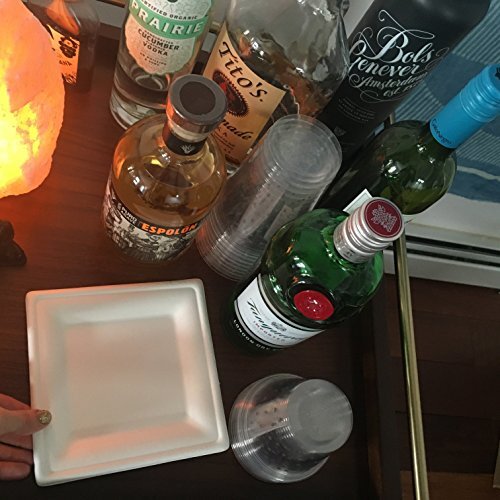 Susty Party 6-Inch Compostable Square Plates (50-Count), Sugarcane ...