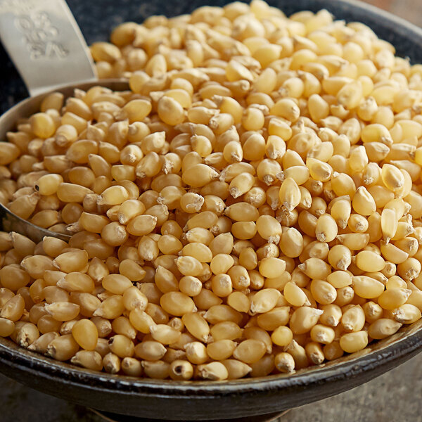Bulk Reist Popcorn Kernels, Mushroom, Yellow & White Butterfly (choose ...