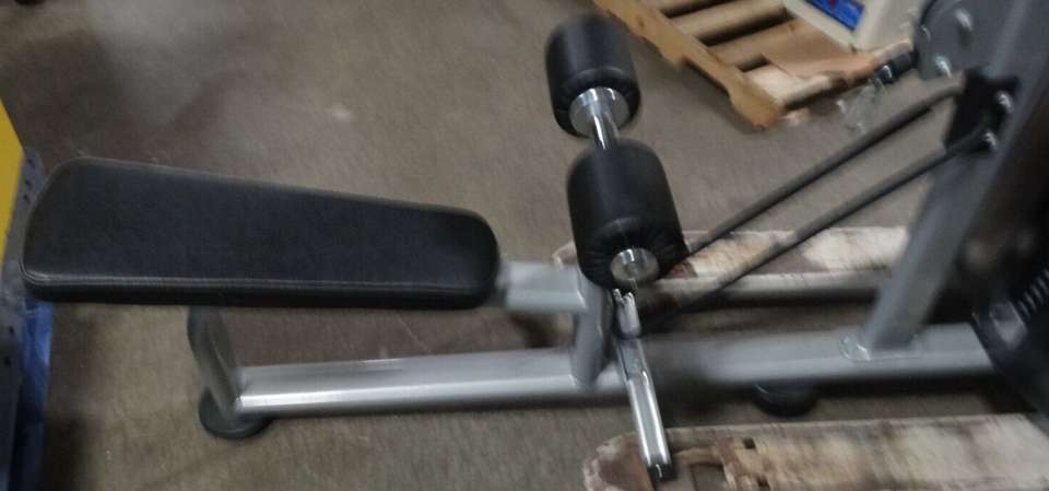 True Fitness Lat Pulldown / Low Row Dual Machine Commercial Grade ...