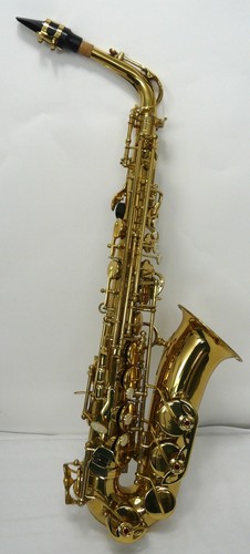 Sky USA Alto Saxophone - Thames Hospice | eBay UK