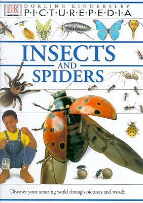 Picturepedia (revised): 9 Insects & Spiders by DK (Hardcover, 2000) for ...