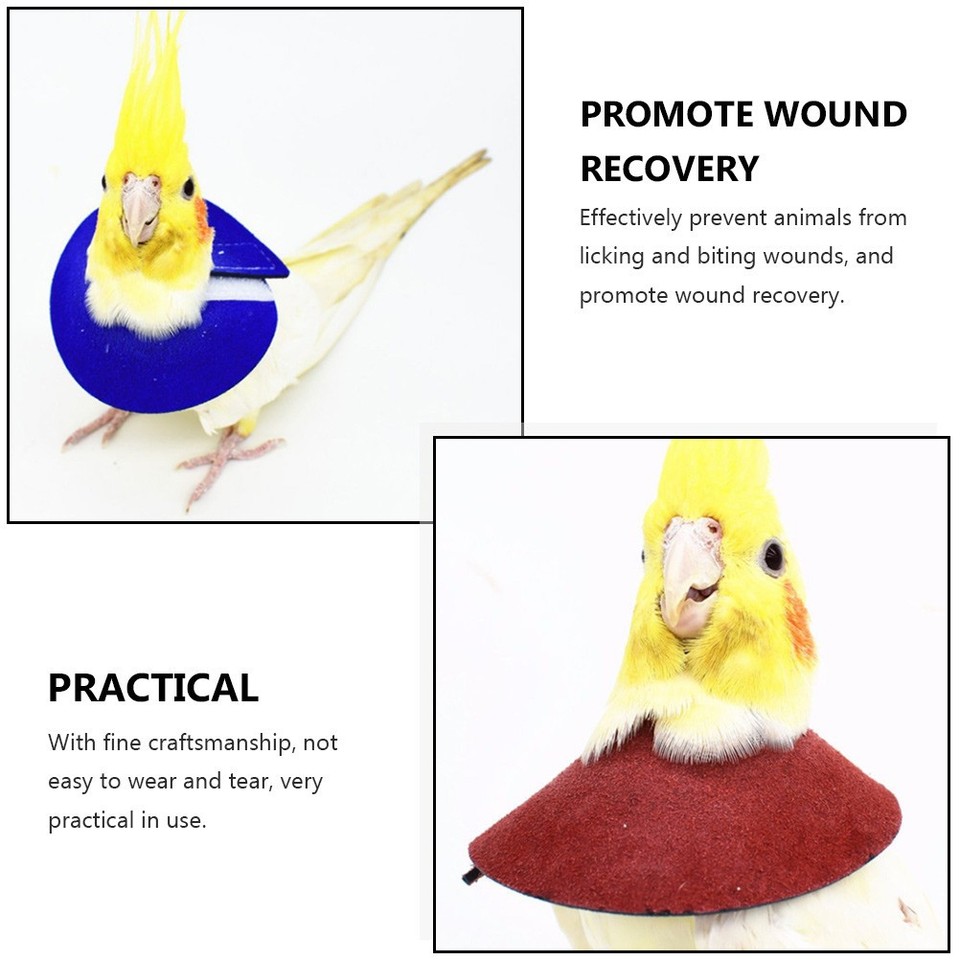 2Pcs Parrot Protective Collar Cone Birds Anti-Scratch Recovery Collar ...