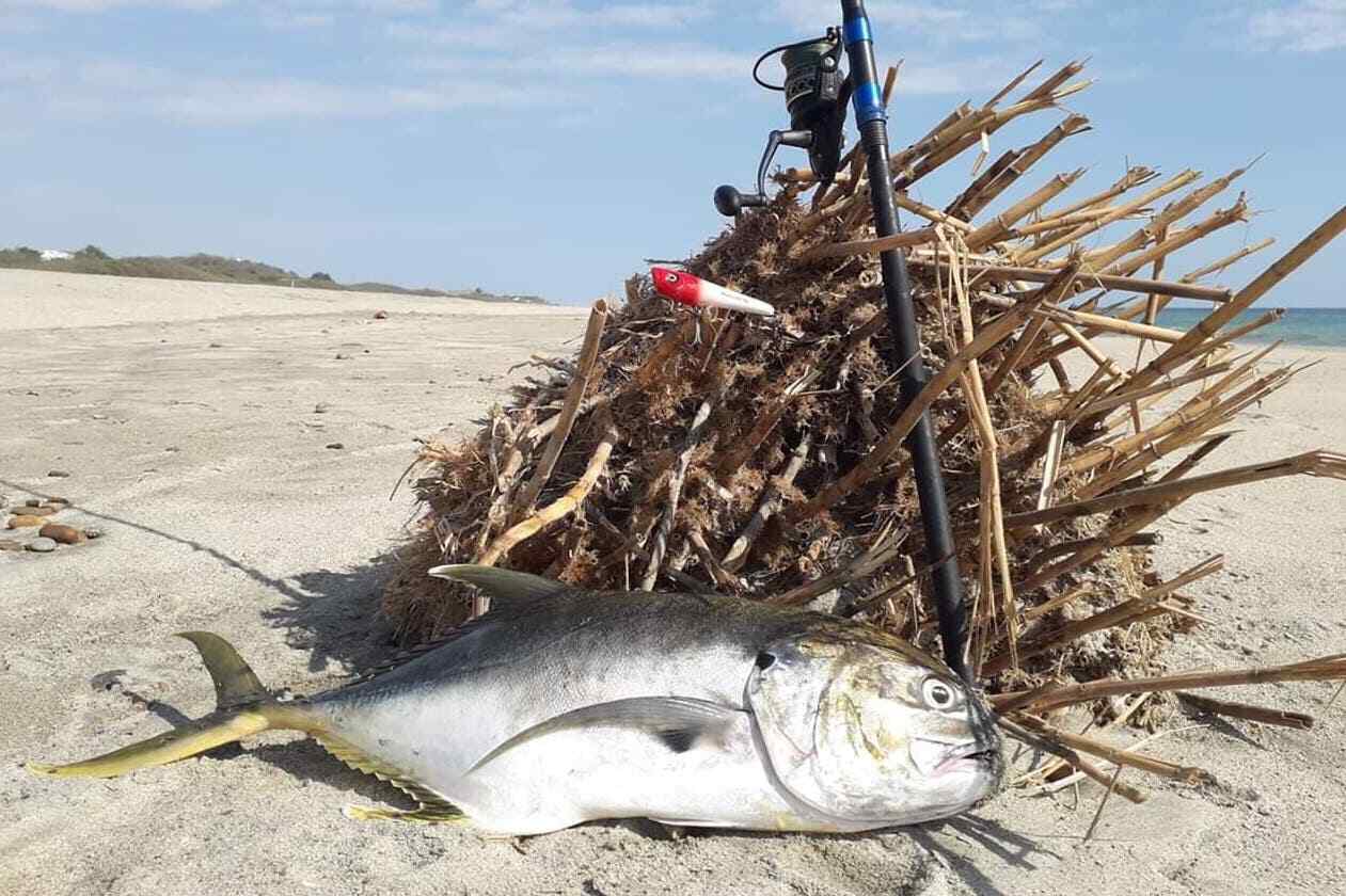 JK Popper Topwater Surf Fishing Lure Roosterfish Stripers Ulua Jacks GT ...