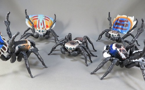 BANDAI Peacock Spider Figure Gashapon Toy Capsule Toy 5PCS Set Model ...