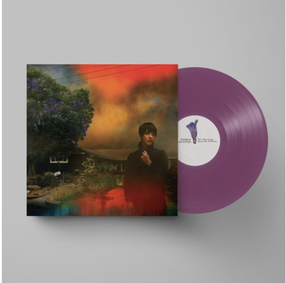 Sharon Van Etten -We've Been Going About This All Wrong-Purple Club ...