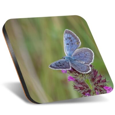 1x Square Coaster 12cm The Large Blue Pretty Butterfly #52258 | eBay