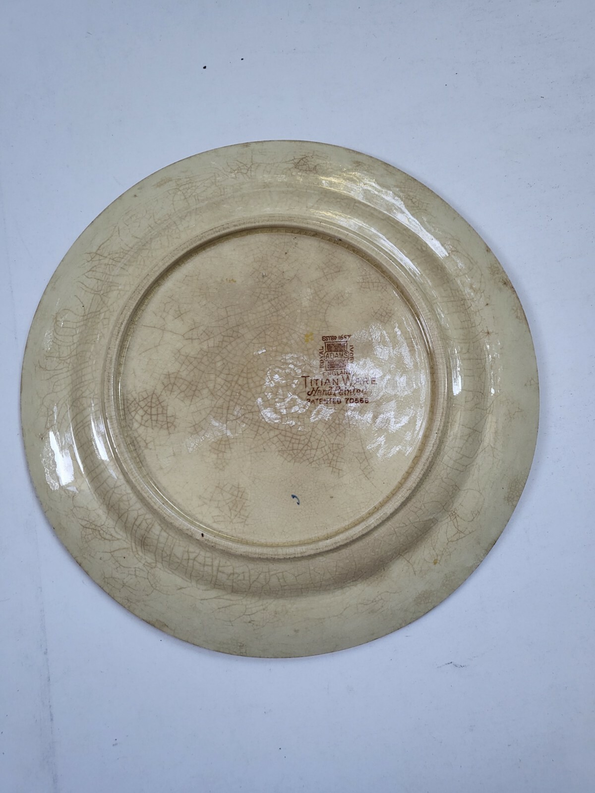 Royal Adams Ivory England Titian Ware hand painted floral dinner plate ...