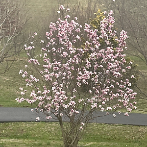 Vintage things Modern stuff | eBay Stores