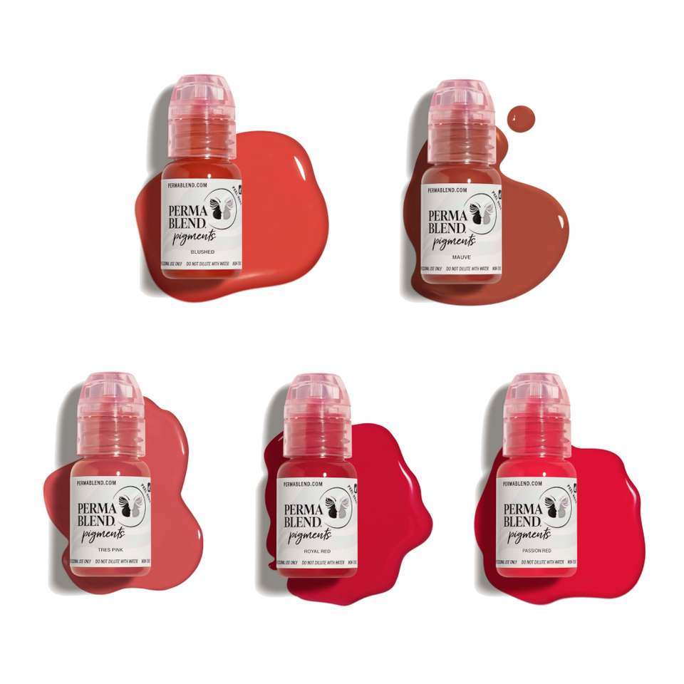 PERMA BLEND Set Kit Permanent Makeup Microblading Pigments Permablend ...