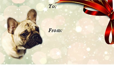 French Bulldog / Frenchie (Fawn) Self Adhesive Gift Labels by Starprint ...