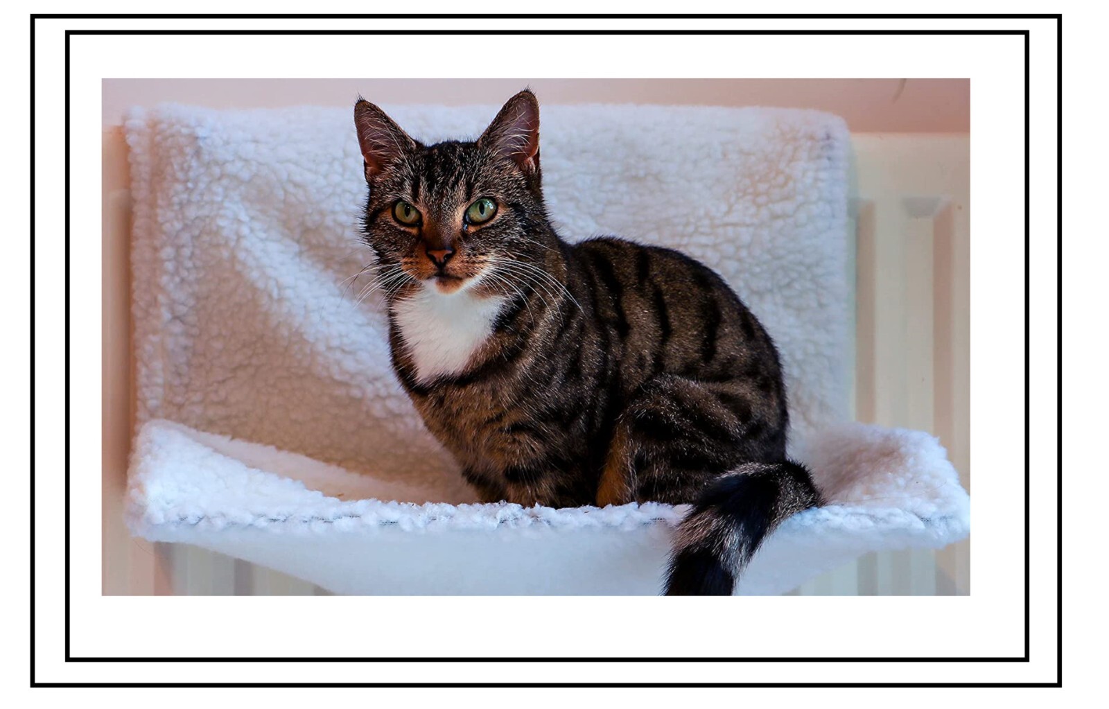 CAT DOG RADIATOR BED WARM FLEECE BEDS BASKET CRADLE HAMMOCK ANIMAL ...