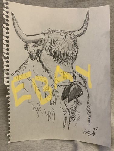 Adorable Highland Cow ORIGINAL art by Rachel Cawley aka Cataroo ...