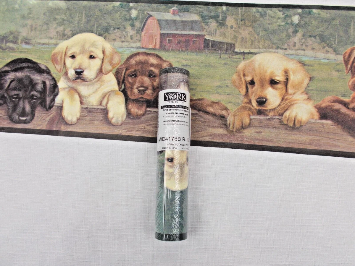 Cute Lab Puppy Wallpaper