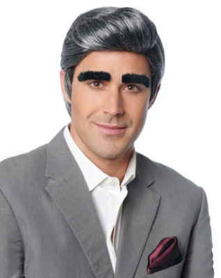 Adult Johnny Rose TV Dad Gray Eyebrow/Wig Kit Mens Halloween Costume ...