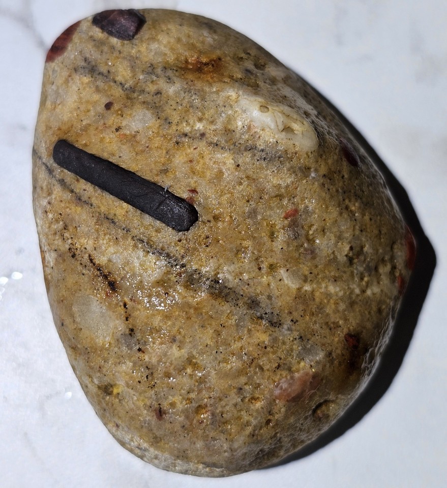Michigan Pudding Stone Rock Conglomerate 7.2 Oz Jasper Fast Shipping | eBay