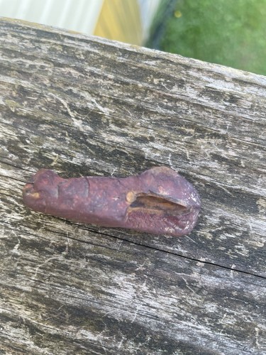 Native American Bone Marrow Tool For Food Prep Verified By State ...