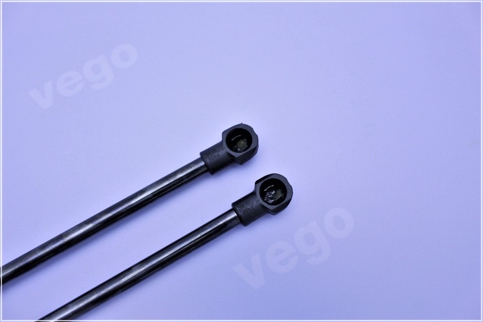 GASFEDER DÄMPFER HECKKLAPPE KOFFERRAUM Smart Fortwo Coupe 4519880004 2x ...