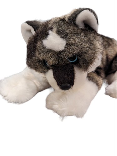 Ty 2006 Beanie Classic Thunder Wolf Husky Puppy Blue Eyes Stuffed ...