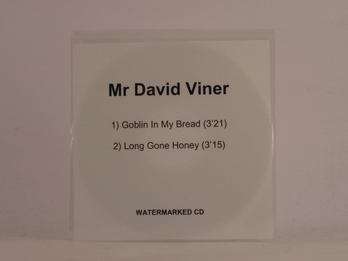 MR DAVID VINER GOBLIN IN MY BREAD (E90) 2 Track Promo CD Single with ...