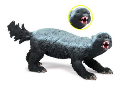 13cm Honey Badger Ratel PVC Toy Wild Animal Mellivora Capensis Figure ...