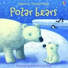 Polar Bears (Usborne Touchy Feely Books) By Fiona Watt | eBay