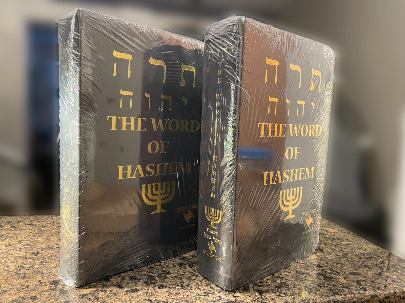 Word of Hashem Bible Brand New (English with Hebrew Names and Titles ...