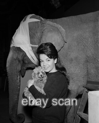 ACTRESS SINGER ANNETTE FUNICELLO WITH PUPPY 8X10 PHOTO 4 | eBay