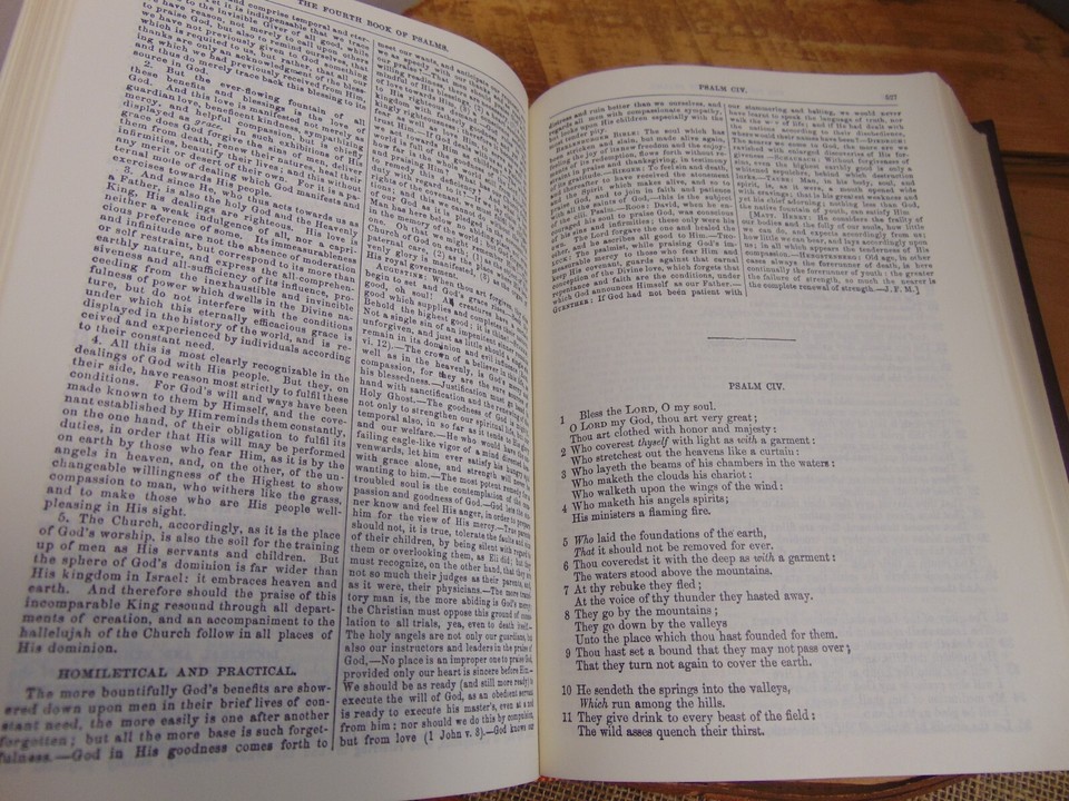Lange's Commentary on the Holy Scriptures Vol. 5 Psalms, Proverbs ...
