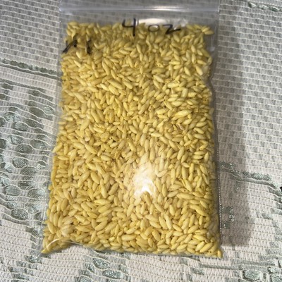 VINTAGE 1950'S - YELLOW 4 OZS -Hawaiian Rice Shells - Craft~ Sailor's ...