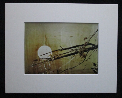 Andrew Wyeth "Full Moon" - Matted Art Print-1980 | eBay