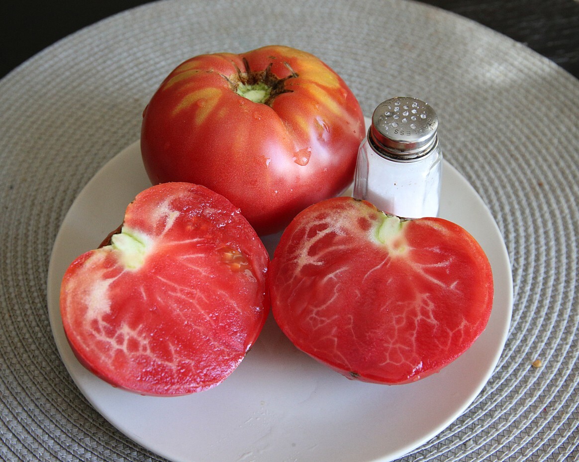 30 Miracle of Siberian Land TOMATO Seeds | eBay