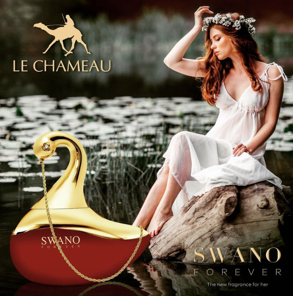 Swano Forever - Eau De Parfum - From Dubai - Best Arabian Perfume for ...