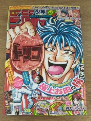 Weekly Shonen Jump 2013 No.20 TORIKO front color page Shueisha Magazine ...