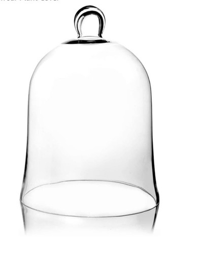 Large 12" Victorian Style Thick Glass Cloche Dome Bell Jar Cover Knob ...