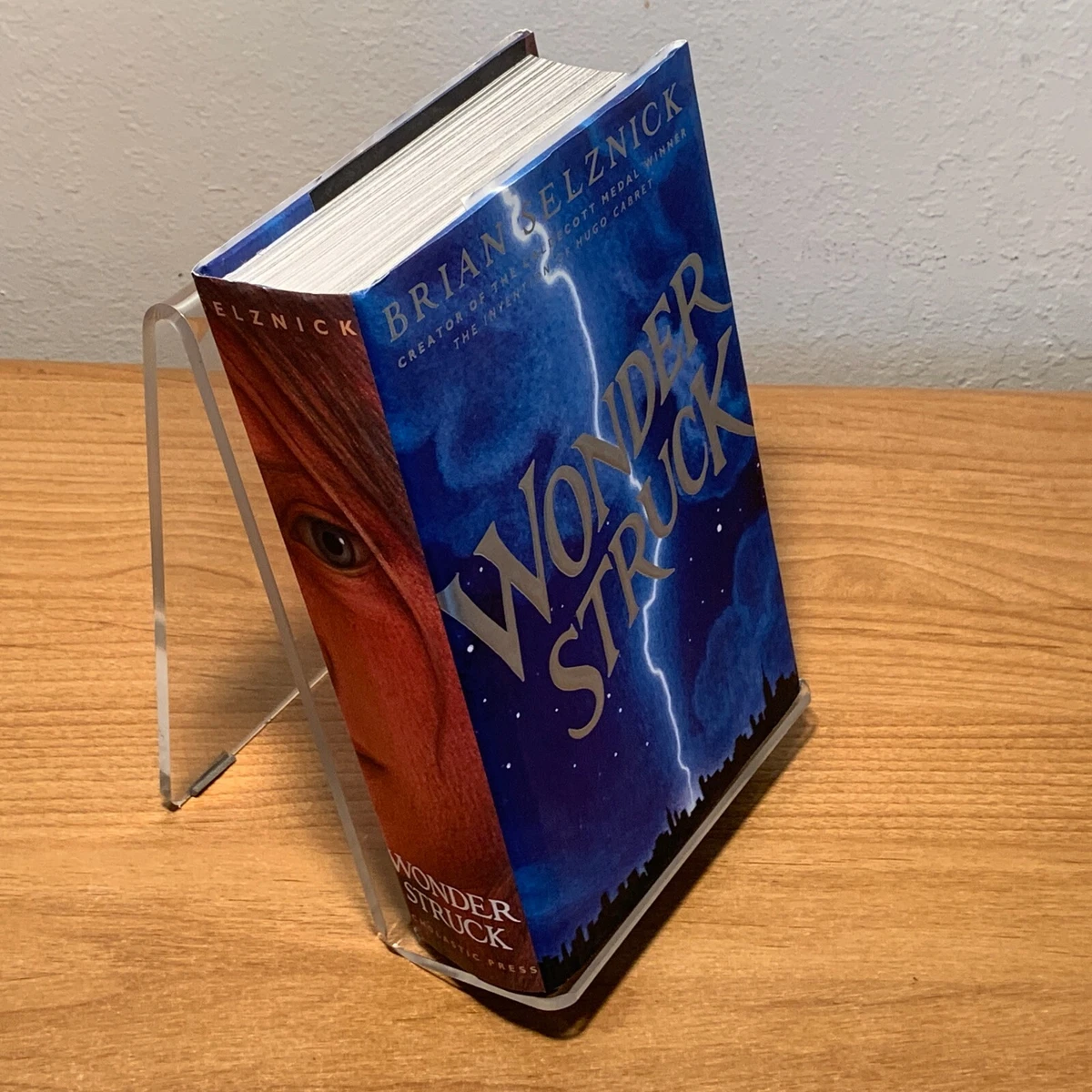 Wonderstruck Book Series wonderstruck-book-series