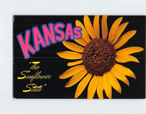 Postcard Sunflower Art Print The Sunflower State Kansas USA | eBay