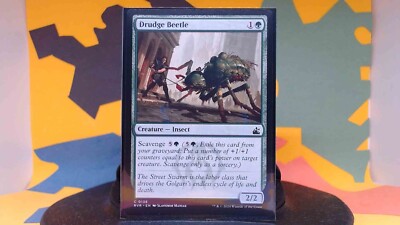 MTG Drudge Beetle 1X Card Unplayed Magic The Gathering Ravnica 2024 TCG ...