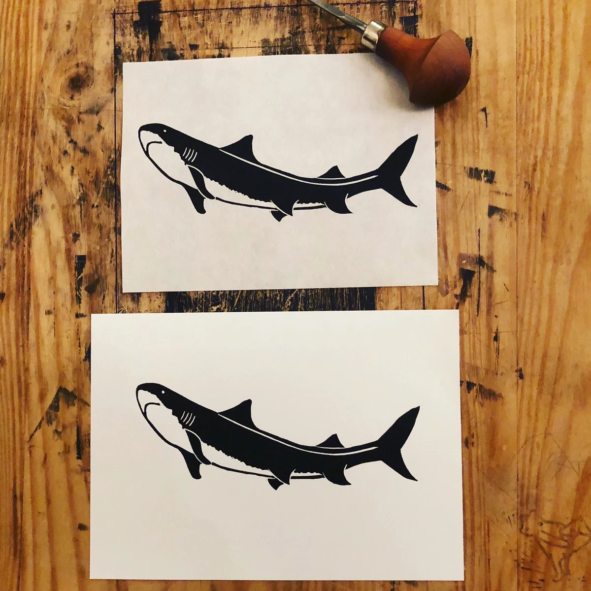 Tiger Shark Silhouette