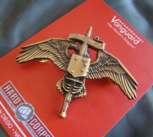 US USMC MARINE CORPS SPECIAL FORCES MARSOC RAIDER REGIMENT BADGE PIN ...