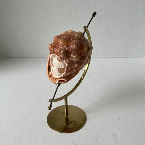 Vintage Hand Carved Cameo Conch Shell Seashell Woman Face Head On Stand ...