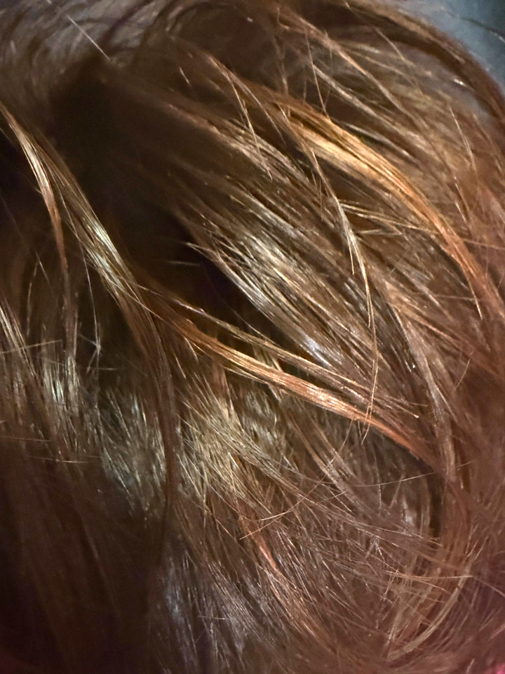 Godiva's Secret Wigs "Lisa Wig" Chestnut | eBay