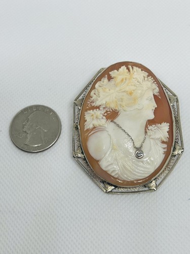 Antique Victorian Shell Cameo Flora , Set in 14K WG Brooch/Pend , 2.3 ...