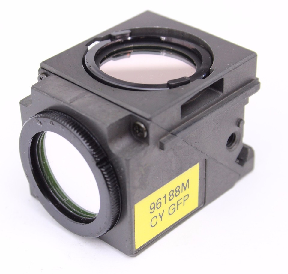 Nikon CY GFP Fluorescence Quadfluor Cube for Eclipse Microscope | eBay
