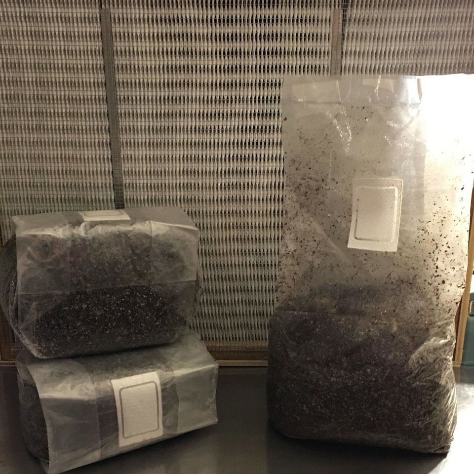 MycoHaus 2X Five LB Bags Sterilized Compost Bulk Mushroom Substrate ...